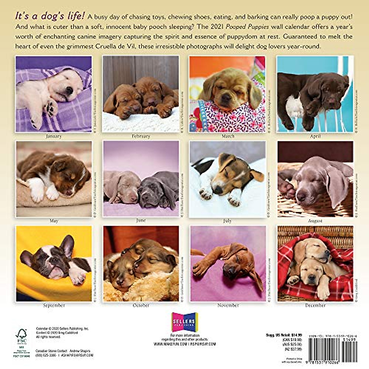 2021 Pooped Puppies 16-Month Wall Calendar