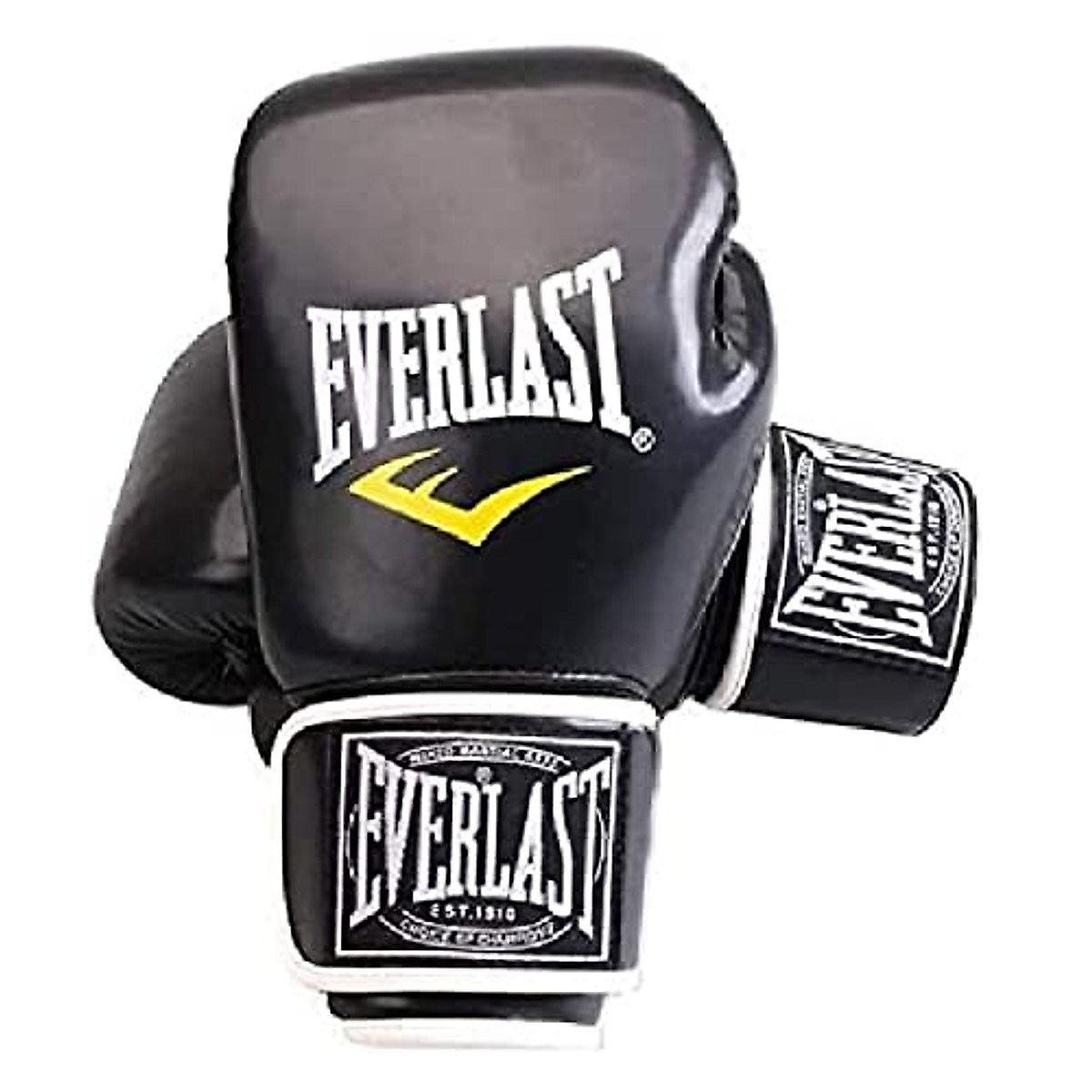 12 oz. WomenÃ•s Pro Style Training Boxing Gloves from Everlast - 1 Pair