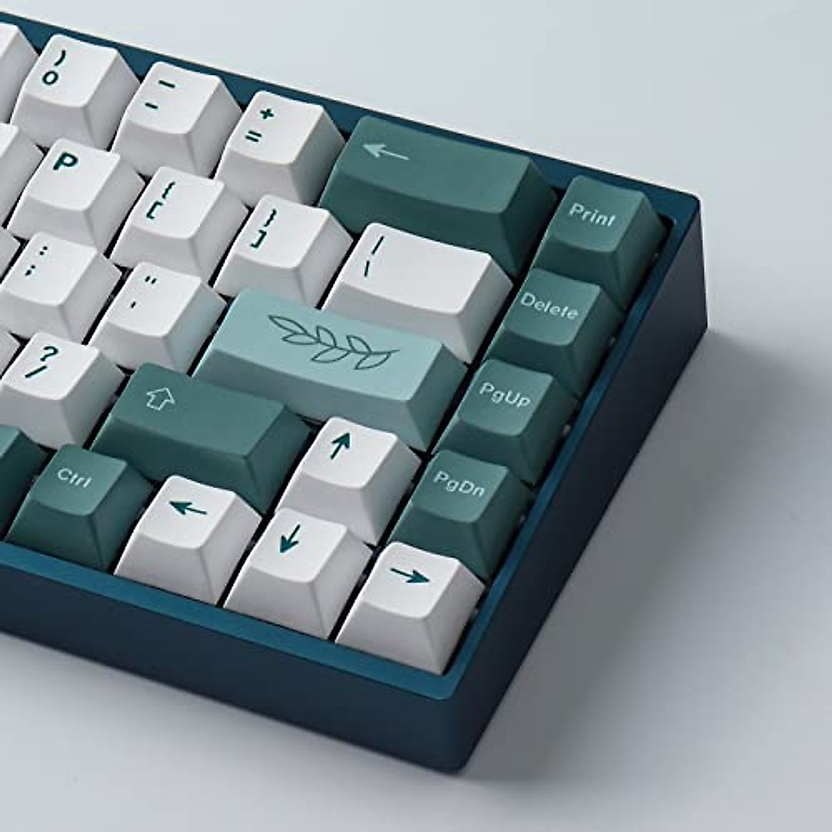 Hyekit PBT Keycaps 100 Keys Botanical Garden Dye-Sublimation Cherry Profile US/ISO Layout Custom Keycaps for 61/64/68/75/87 Mechanical Gaming Keyboard