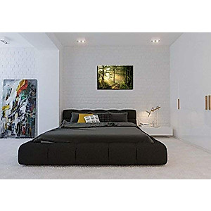 Forest Wall Art Modern Canvas Painting The Picture for Home DecorationTrees Foggy Morning Spring Landscape Print On Canvas Giclee Artwork for Wall Decor