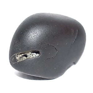 Rudrakshguru Hayagriva Shaligram - Gandaki River Nepal