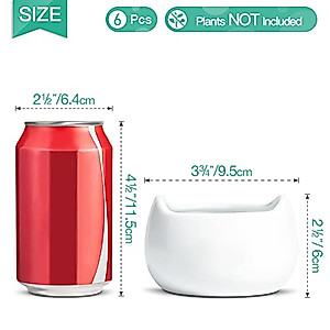 T4U Animal Succulent Pot 4 Inch Set of 6, Cat Shape Ceramic Planter with Drainage Hole, Cute Container for Small Cactus Bonsai Herb Plant, Indoor Home Office Garden Decoration Gift