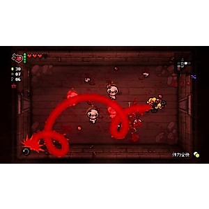 The Binding of Isaac: Repentance(ザ バインディング オブ アイザック リペンタンス) -Switch