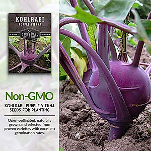 Survival Garden Seeds - Purple Vienna Kohlrabi Seed for Planting - Packet with Instructions to Plant and Grow Unique Cruciferous Vegetables in Your Home Vegetable Garden - Non-GMO Heirloom Variety