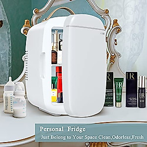 NXONE Mini Fridge,4 Liter/6 Can AC/DC Small Refrigerator,Portable Thermometric Cooler and Warmer Freezer Skincare fridge for Foods,Beverage,Medications, Home,Bedroom,Dorm,Office and Car