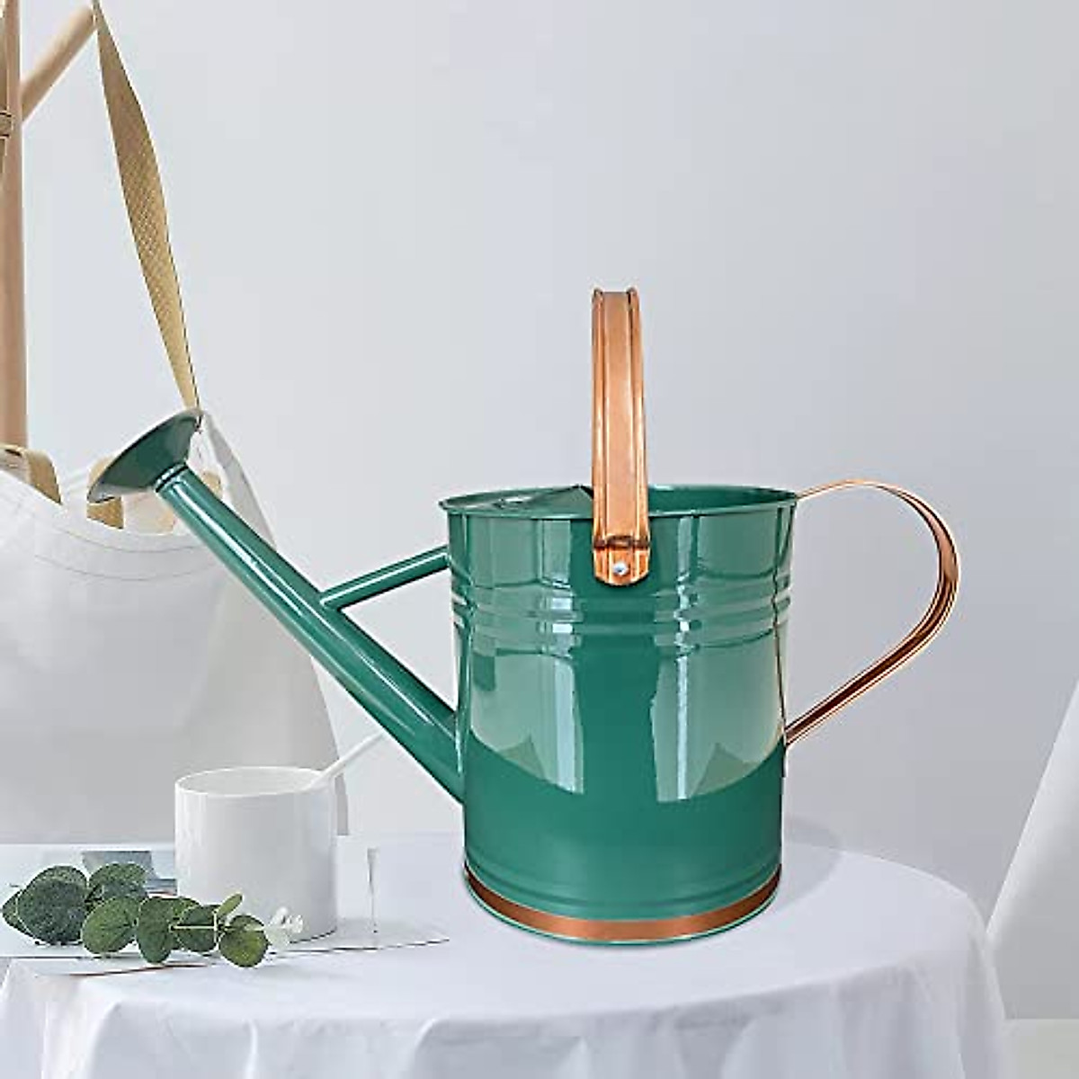 Metal Watering Can for Outdoor and Indoor Plants, Watering Can Decor, 1 Gallon (1 Gallon Green2)