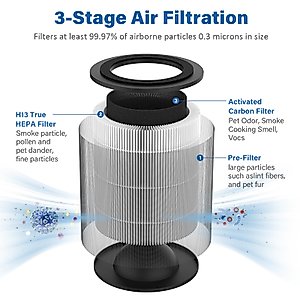 JF100 Replacement Filter, 3-in-1 H13 True HEPA and High-Efficiency Activated Carbon Filter, 2-Pack
