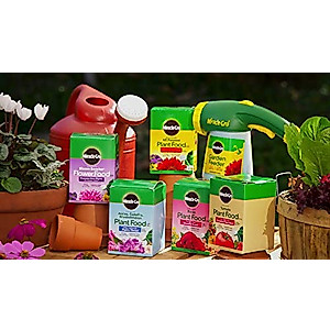 Miracle-Gro Water Soluble Rose Plant Food, 1.5 lb