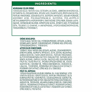 Garnier Hair Color Nutrisse Nourishing Creme, 93 Light Golden Blonde (Honey Butter) Permanent Hair Dye, 2 Count (Packaging May Vary)