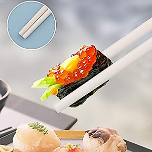 Reusable Chopsticks Japanese Fiberglass Chopsticks Lightweight Dishwasher Safe Multicolor 5 Pairs Gift Set