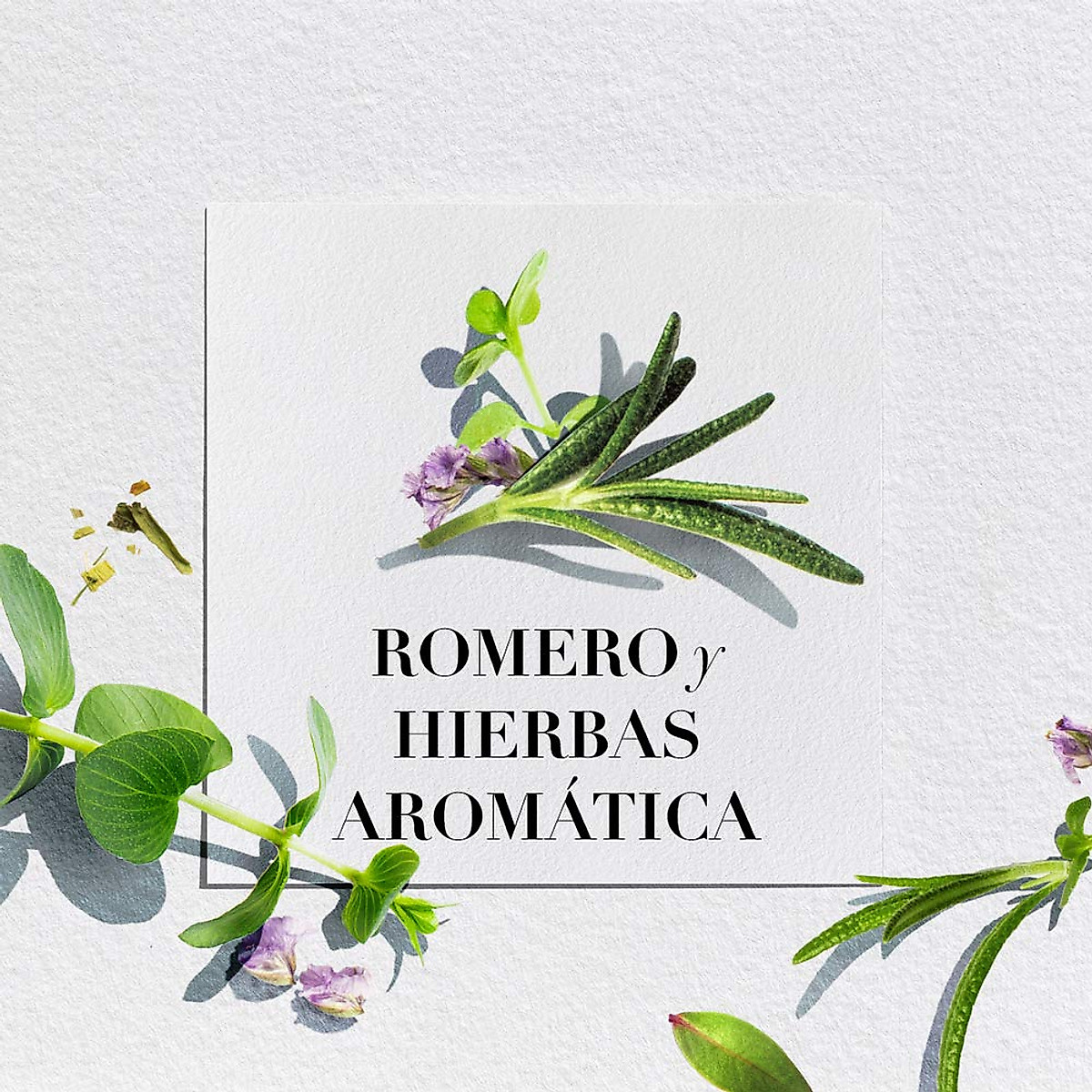 Herbal Essences bio:renew Rosemary & Herbs Conditioner, 13.5 fl oz