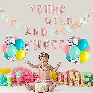 JeVenis Young Wild and Three Balloon Young Wild and Three Banner Young Wild and Three Decorations for Girl Third Birthday Decorations 3 Year Old Birthday Decor 3rd Birthday Balloon