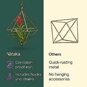 Air Plant Holders w/Hooks & Chains - Indoor Air Plants and Holders Sets, Freestanding & Wall Hanging Planters - 5 Geometric Shapes Air Plant Holder - Hanging Air Plant Holder
