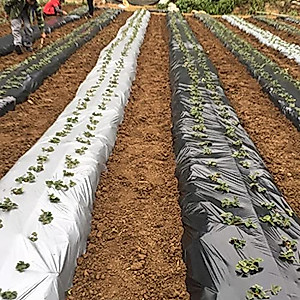 HFS(R) 1 Mil LLDPE Silver Black Metallic Plastic Mulch Plastic Film for Fruits, Vegetables, Crops, Greenhouse, Garden (4FTX50FT)