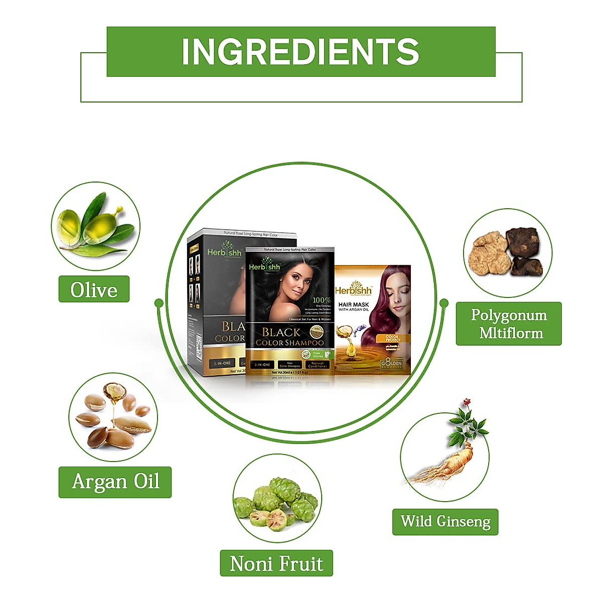 Herbishh Hair Color Shampoo Pouch/Sachte Combo Pack of Two for Gray Hair (Black) With Moroccan Argan Hair Shampoo + Hair Conditioner Kit