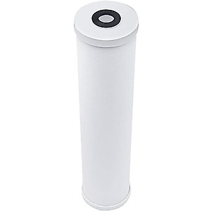 Pentair Pentek RFC-20BB Big Blue Carbon Water Filter, 20-Inch, Whole House Heavy Duty Radial Flow Carbon Replacement Cartridge with Granular Activated Carbon (GAC) Filter, 20" x 4.5", 25 Micron