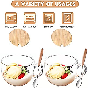 DONYU 2 Pieces Glass Cup 16OZ Clear Coffee Mug with Lids Spoon for Breakfast Tea,Milk,Beverage,Oats,yoghurt