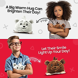 Reversible Toy Plush for Girls & Boys, Educational Mood Regulating Plushie Teddy Bear, Chocolate Scented Benji The Bear Realistic Stuffed Animal for Babies, Toddlers, Preschool, Kindergarten