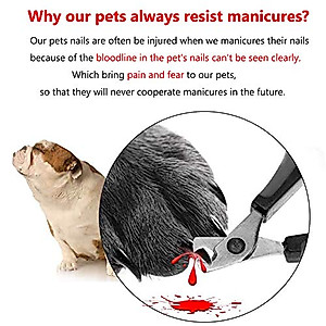 Illuminated Pet Nail Clipper, 5X Magnification Pet Nail Scissor Safe with LED Light, Pet Grooming Nail Care Tool Great for Dogs Cats