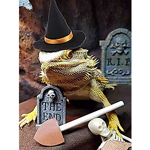 Lizard Clothes for Bearded Dragons, Halloween wizard Hat with Elastic Chin Strap Reptile Apparel Outfit Witch Cap Halloween Costume Party Cosplay Dress up Photo Props for Small Animals (Black)