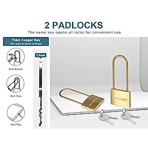 DELSWIN Keyed-Alike Solid Brass Padlock - Small Pad Locks with Same Key Weatherproof Long Shackle Lock for School Gym Locker and Tool Box, Pack of 2