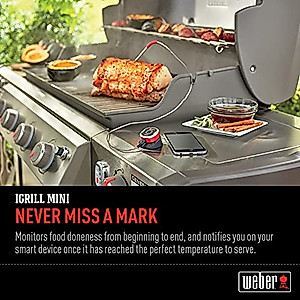 Weber iGrill Mini
