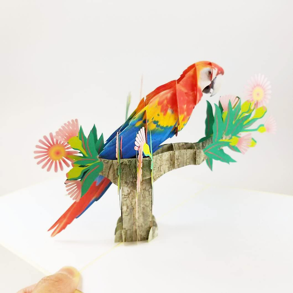 POP CARD EXPRESS Colorful Parrot Pop Up Birthday Card - Happy Birthday Pop Up Card for son, daughter, wife, friends, Nature, Wild Animal, Bird lovers (Colorful Parrot Pop Up Card)