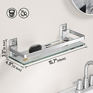 Danpoo Clear Tempered Glass Wall Shelf, Wall-Mounted Organizer for Bathroom, Kitchen(Matte Silver)