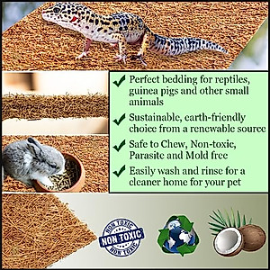 SunGrow Coco Fiber Hermit Crab & Reptile Carpet, Gecko Terrarium Liner, and Floor Bedding Substrate & Supplies, Climbing Wall Carpet & Mat for Hermit Crabs, 10" x 13", 1 Piece Per Pack