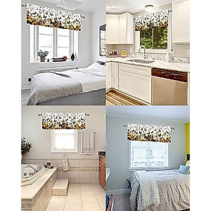 Butterfly Floral Window Kitchen Curtain Valance, Window Curtain Valance Rod Pocket, 1 Panel Short Valances Window Treatment for Living Room Bedroom Bathroom Cafe (60x18 Country Style Ombre Butterfly)