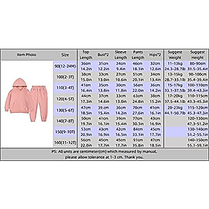 MYGBCPJS Youth 2PCS Jogger Outfits Set Fleece Hooded + Sweatpants Boys Girls Athletic Sweatsuits Pullover Clothes
