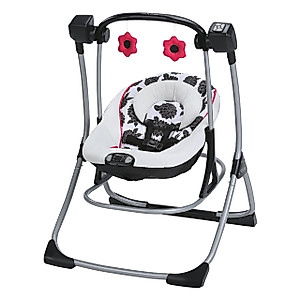 Graco Cozy Duet Swing Plus Rocker, Azalea