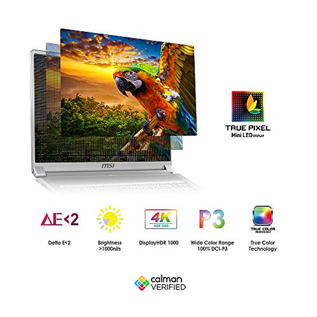 MSI Creator 17 A10SE-256 17. 3" FHD 144Hz 72% NTSC Thin Bezel, Close to 100% sRGB Creator Laptop Intel Core i7-10875H RTX2060 16GB 512GB NVMe SSD Win10PRO VR Ready