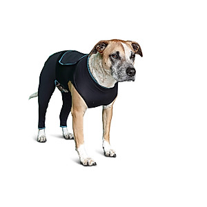BENEFAB Therapeutic Comfort Suit for Dogs — Lightweight Far-Infrared Jacket for Canines of All Ages — Relaxing FIR Compression Suit Soothes Muscles, Joints, and Pain (Large)