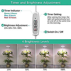 LORDEM Plant Grow Light, Full Spectrum Plant Light for Indoor Plants, Brightness Adjustable LED Growing Lamp with Auto On/Off Timer 4H/8H/12H, Height Adjustable, Ideal for Tall Plants
