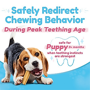 Dentalife Purina Chicken Flavored Puppy Teething Chews 17.3 oz - 50 ct. Pouch