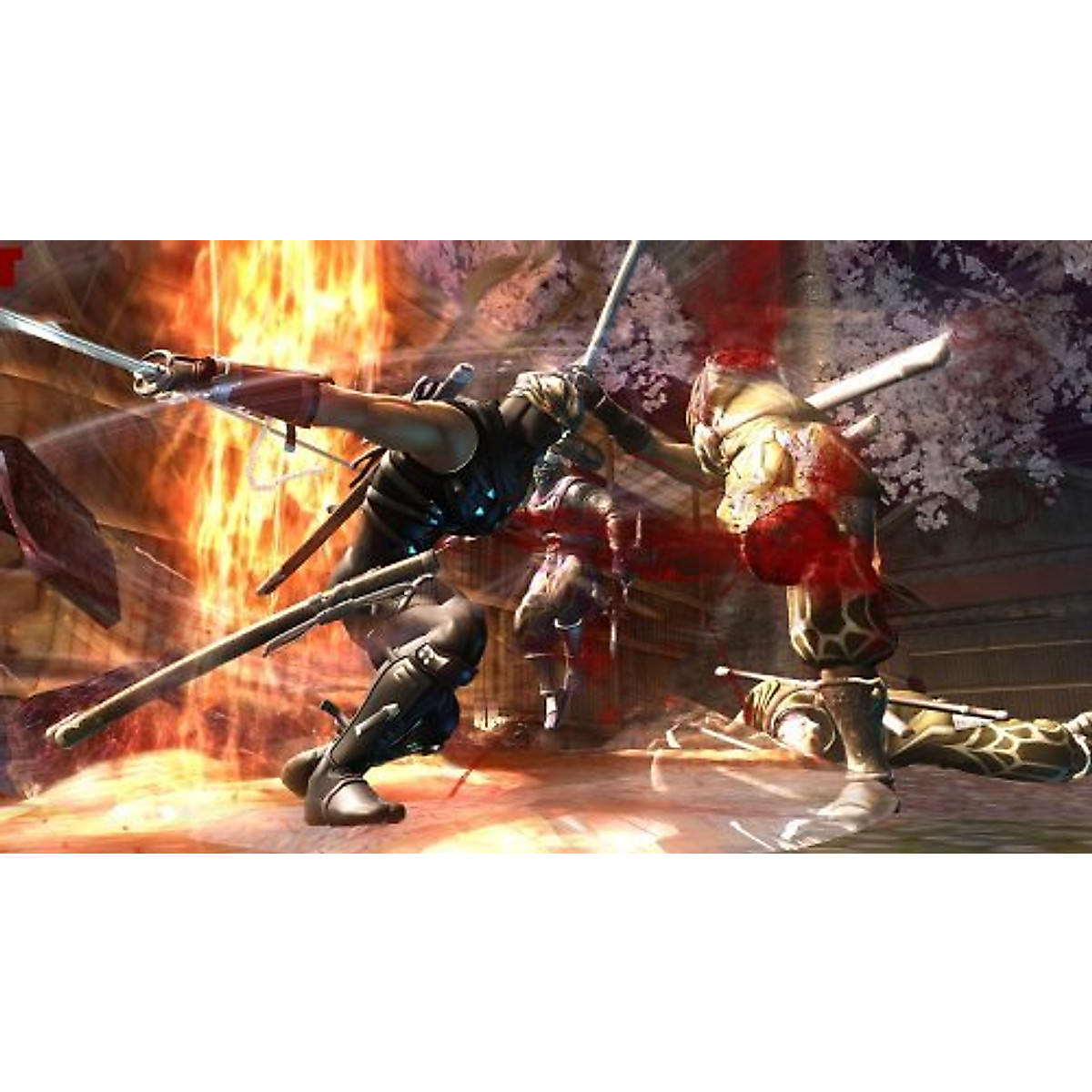 Ninja Gaiden II (Renewed)