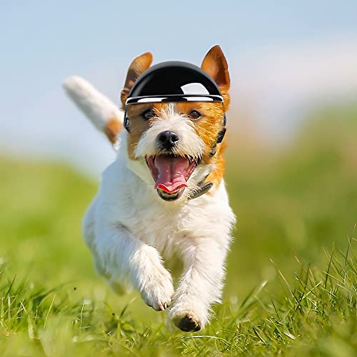 Dog Helmet, Adjustable Pet Hat Drop Resistant Outdoor Bike Pet Cap with Double Ear Holes for Small Medium Large Dogs(S/M/L)