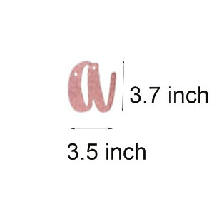 WEIANDBO 30 Years Loved Rose Gold Glitter Banner,Pre-Strung,30th Birthday