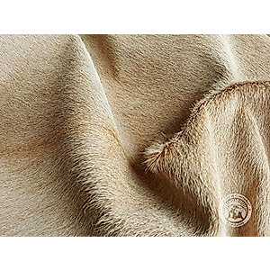 Genuine Palomino Beige Cowhide Rug XL 6 x 7-8 ft. 180 x 240 cm