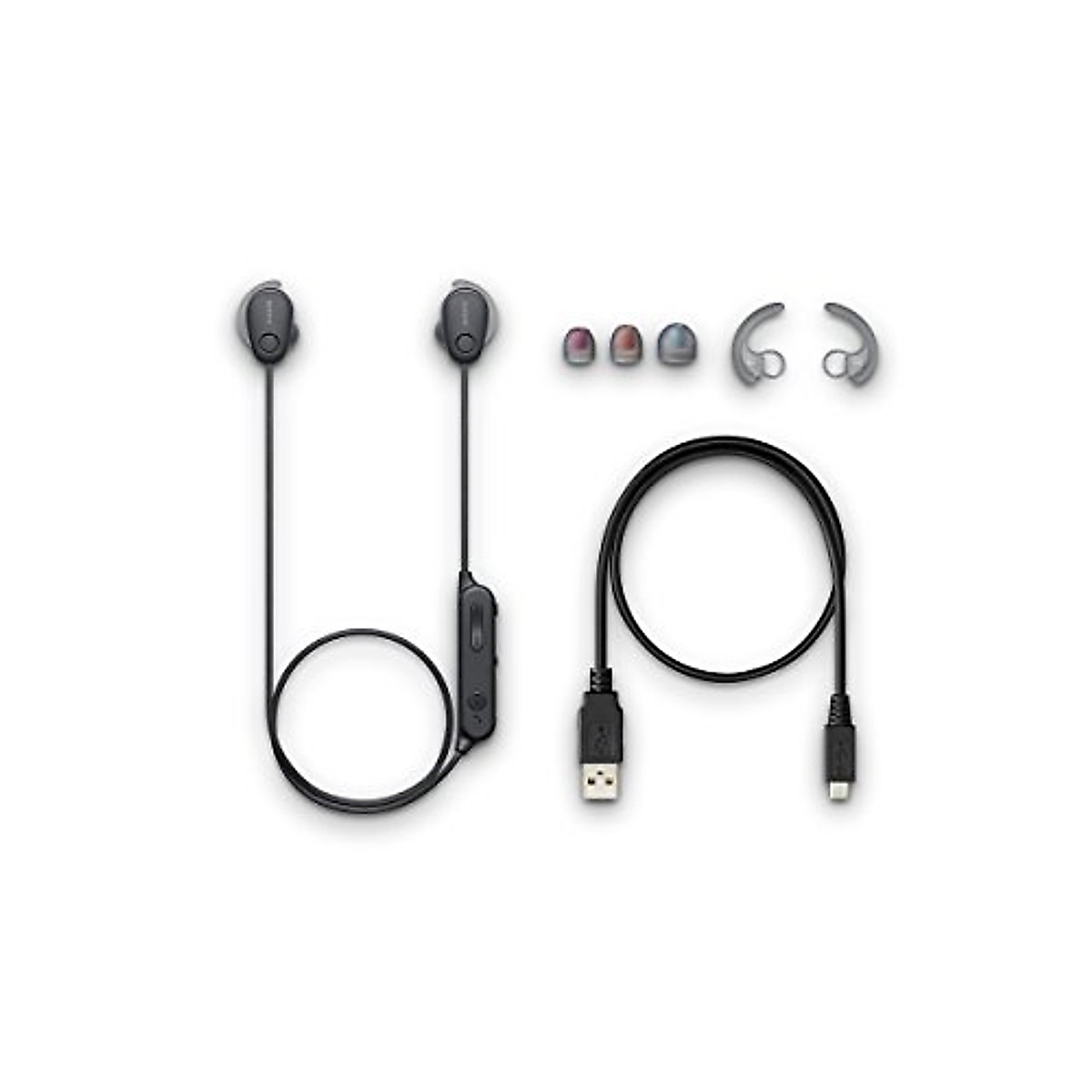 Sony SP600N Wireless Noise Canceling Sports In-Ear Headphones, Black (WI-SP600N/B)