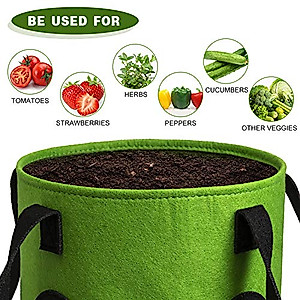 2 Pack Black and Green Upside Down Tomato & Herb Planter, Hanging Durable Aeration Fabric Strawberry Planter Bags