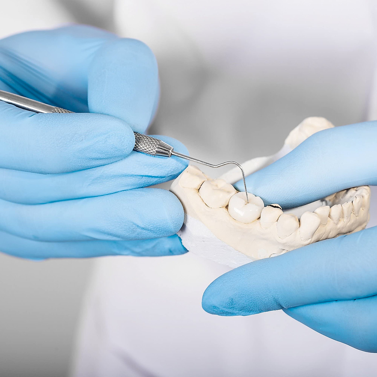 DEXA DENTAL Professional Dental Hygiene Kit - Stainless Steel Tartar Remover, Tooth Scraper, Pick Scaler, Penlight, Toothbrush, and Case