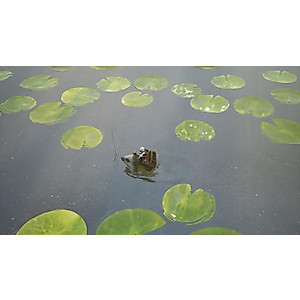 Bramble: The Mountain King for Nintendo Switch