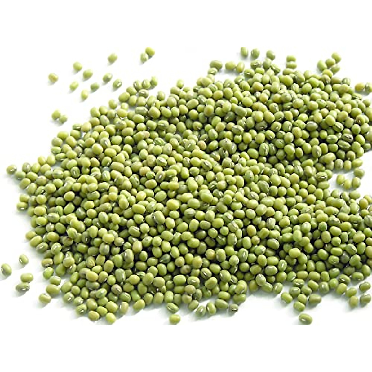 Todd’s Seeds - Mung Bean Sprouting Seed - Mung Bean Seeds - Chinese Green Bean - 1 Pound Bulk Seeds