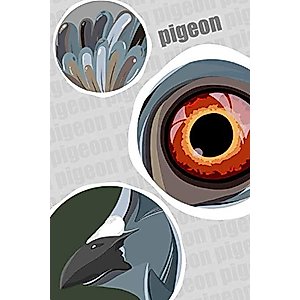 Pigeon: Notebook, Gift for someone who loves pigeons (Notebook for school, for drawing, Composition Book) (6" x 9" Large) (64 pages)