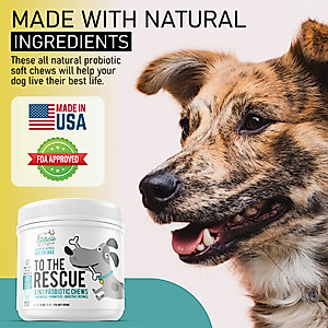 Probiotic Chews for Dogs, Support Digestive Health, Dog Probiotics and Digestive Enzymes, Dog Probiotic Chews, Probiotic Dogs, Puppy Probiotic, Pet Probiotics for Dogs - 120 Soft Chews