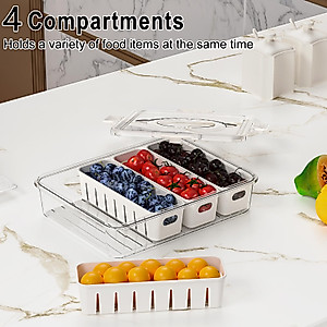 Anyvape Portable Food Storage Container with Lid & Handle,4-Compartment Leak-Proof Tray with Removable Colanders,Fresh-Keeping Organizer for Fruits,Snacks,Meal Prep,Ideal for Refrigerator,Outdoor Use