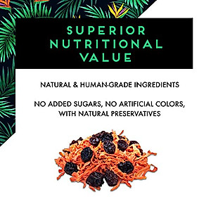 Oven Fresh Bites Baked Birdie Munchies Carrot Cake Treats, 4 oz.