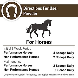 Vet Classics ArthriEase-Gold Joint Support for Horses - Powder Health Supplement for Horses – Alleviates Aches and Discomfort – For Flexibility, Healthy Joint Function – Antioxidants 2 lb. 4 Oz.Powder